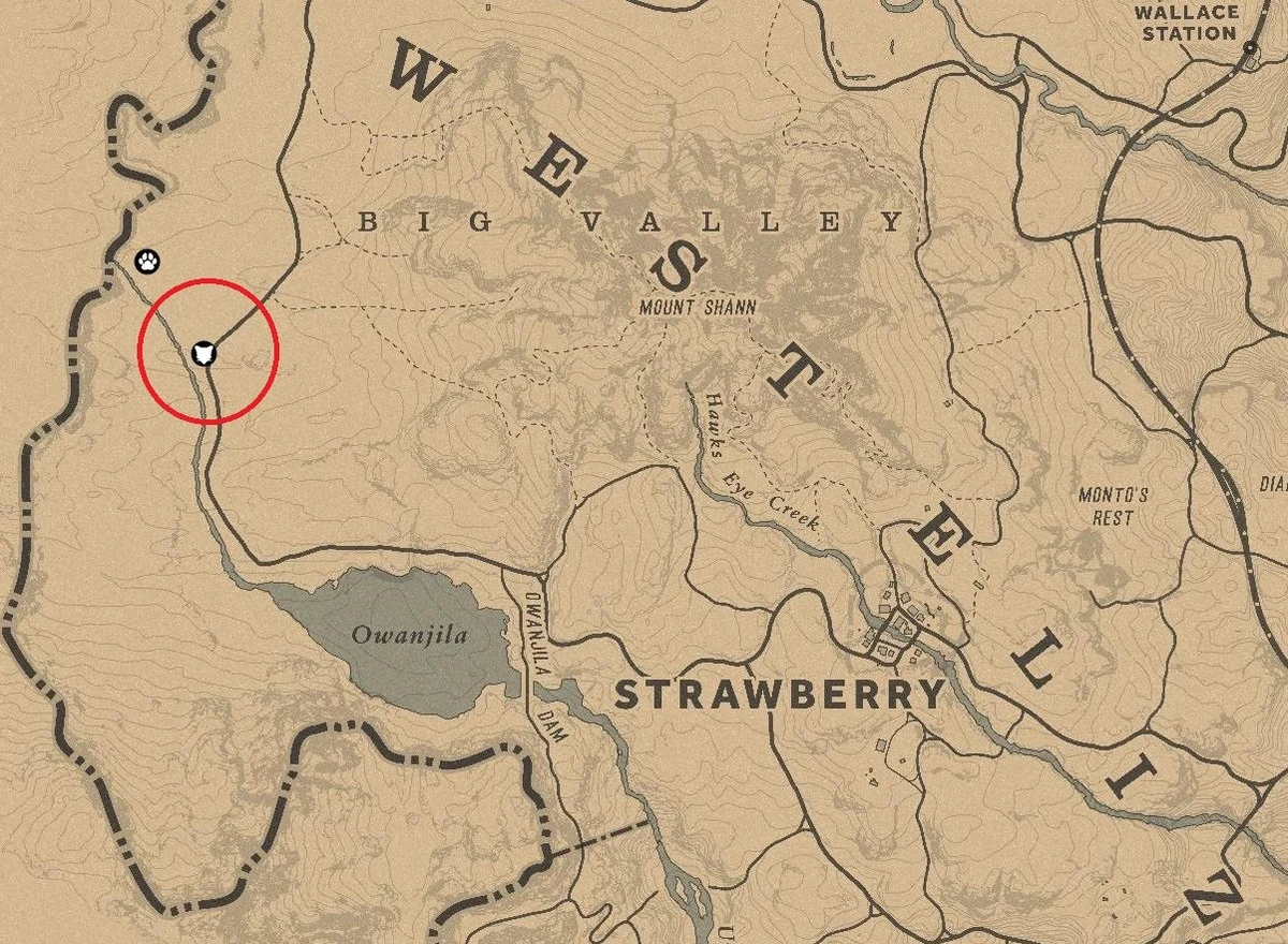 Wyzwania Mistrza Łowiectwa w Red Dead Redemption 2 | Red Dead ...