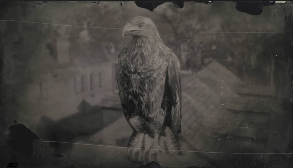 Orzeł przedni (RDR2) | Red Dead Redemption Wiki | Fandom