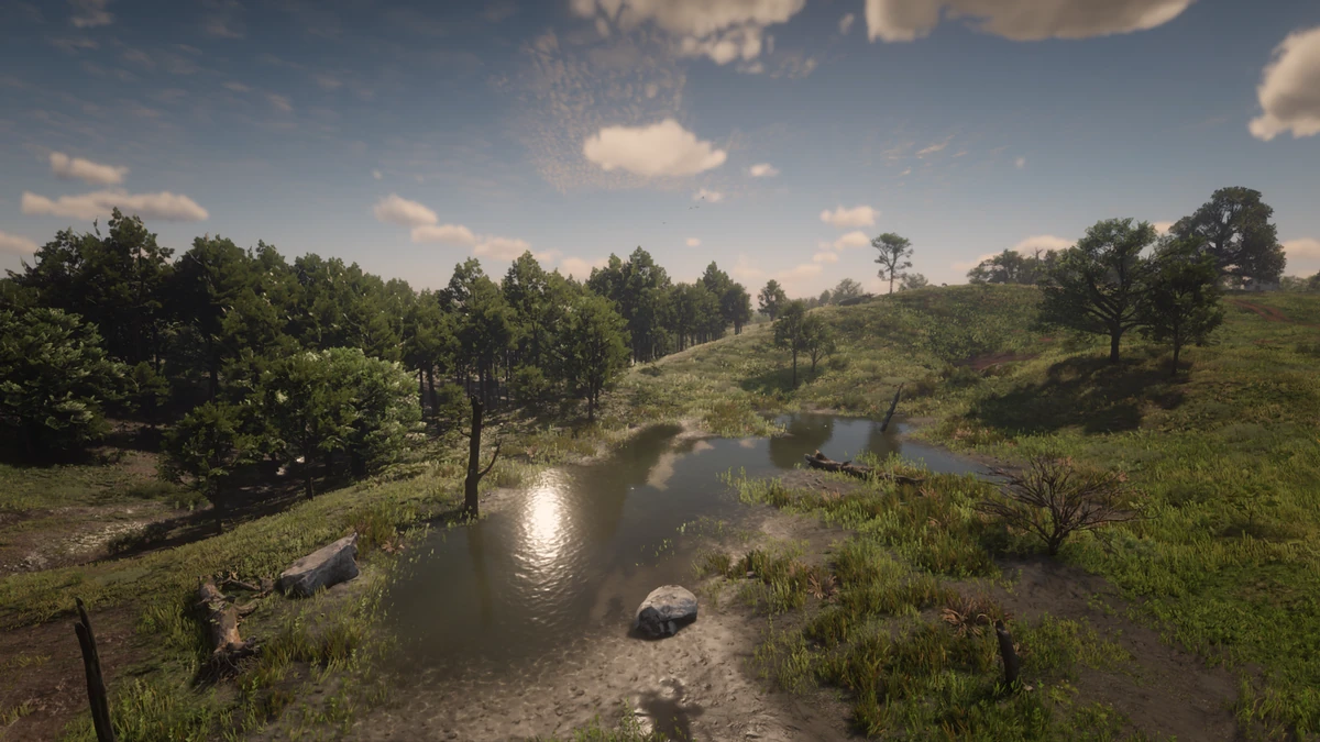 Мэтток-Понд | Red Dead Wiki | Fandom