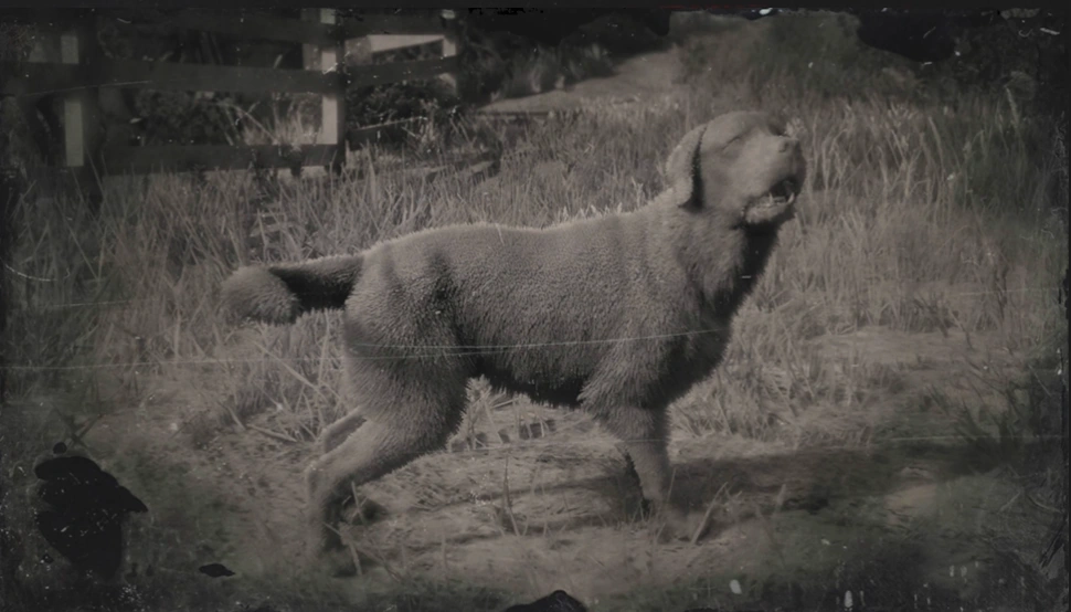 Labrador retriever | Red Dead Redemption Wiki | Fandom