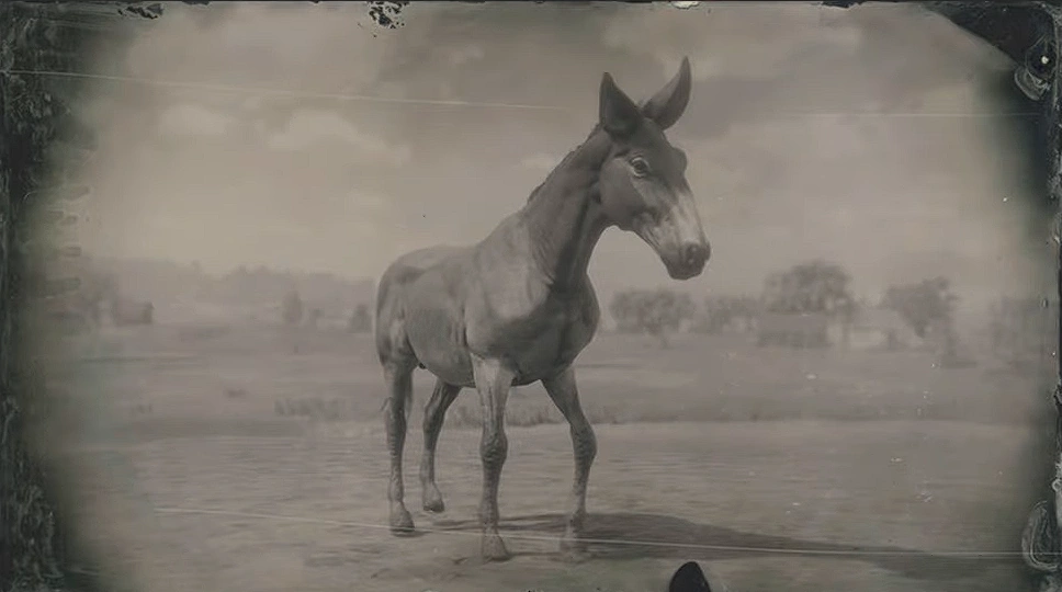 Muł (RDR2) | Red Dead Redemption Wiki | Fandom