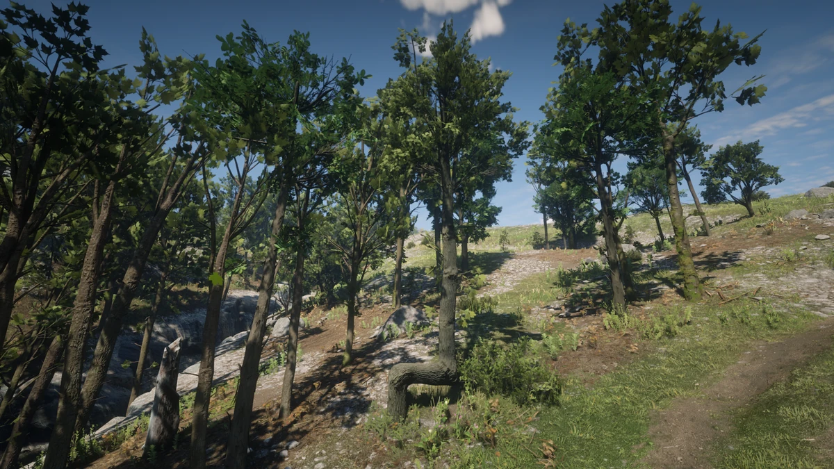 Путеводное дерево (II) | Red Dead Wiki | Fandom