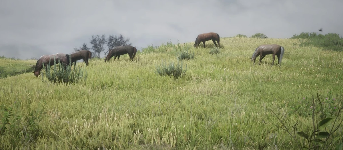 Konie | Red Dead Redemption Wiki | Fandom