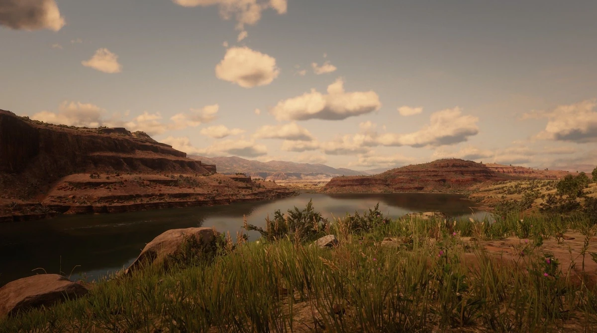 New Austin | Red Dead Redemption Wiki | Fandom