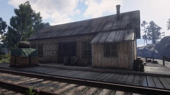Bacchus Station | Red Dead Redemption Wiki | Fandom