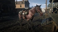 Mustang | Red Dead Redemption Wiki | Fandom