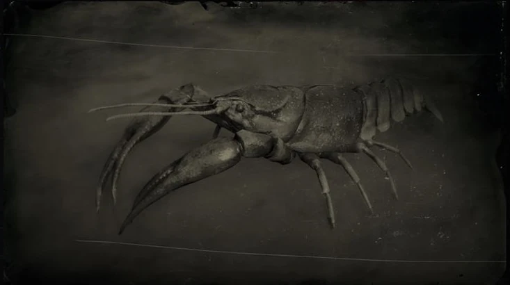 Roter amerikanischer Sumpfkrebs | Red Dead Redemption Wiki | Fandom