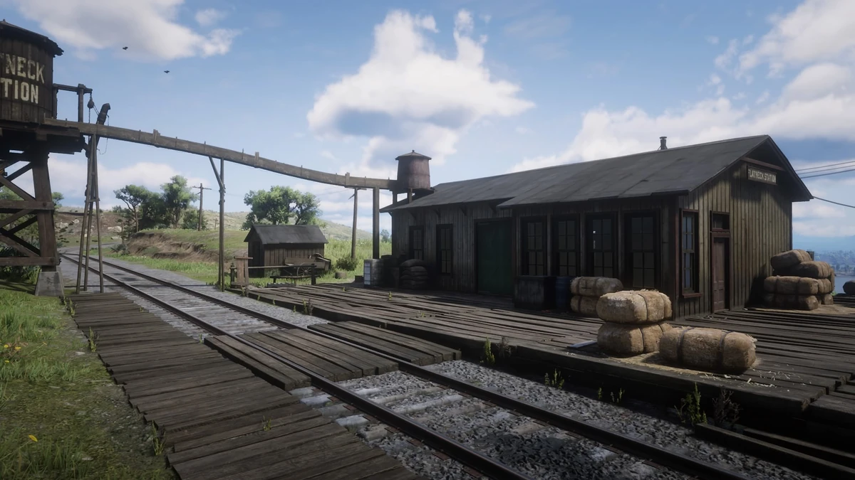 Flatneck Station | Red Dead Redemption Wiki | Fandom
