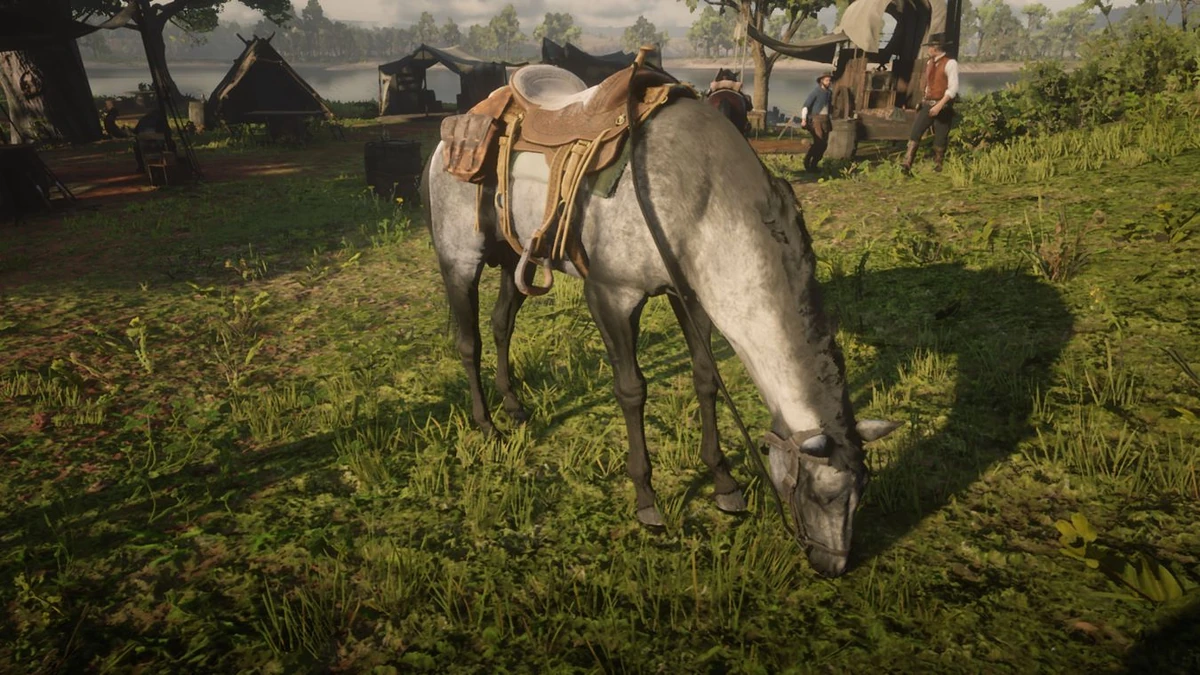 Silberdollar | Red Dead Redemption Wiki | Fandom