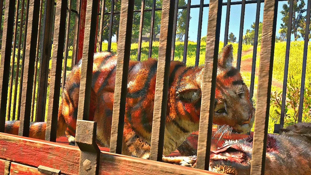 Tiger | Red Dead Redemption Wiki | Fandom