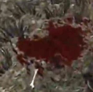 Ralph Anderson | Red Dead Redemption Wiki | Fandom