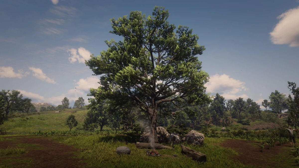 Liebesdreieck | Red Dead Redemption Wiki | Fandom