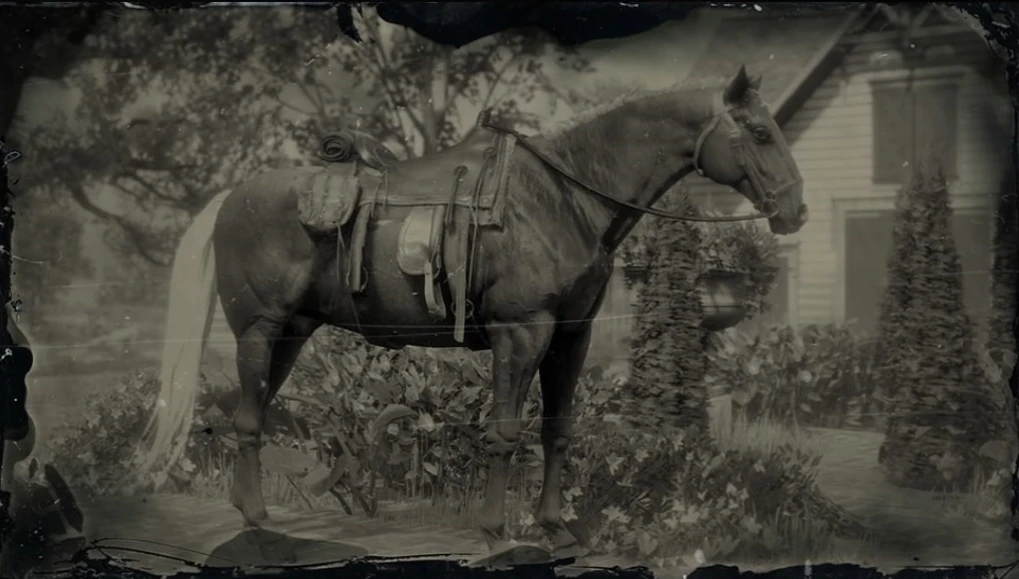 Kentucky Saddler | Red Dead Redemption Wiki | Fandom