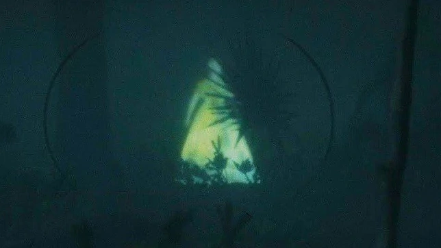 Agnes Dowd | Red Dead Redemption Wiki | Fandom