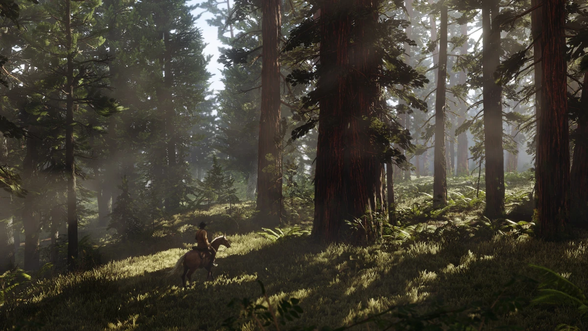 Tall Trees | Red Dead Redemption Wiki | Fandom