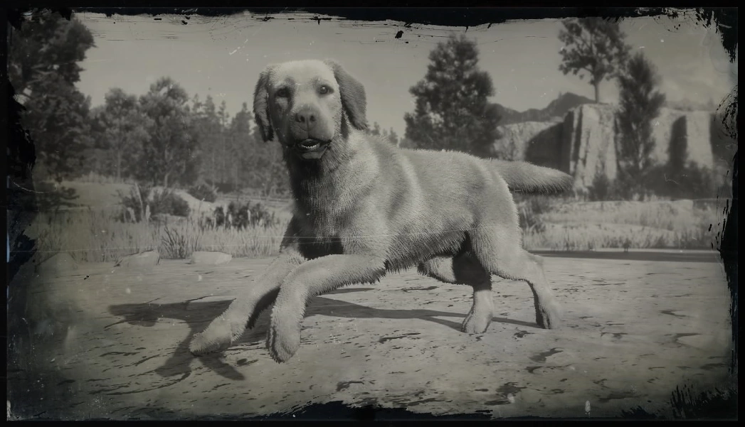 Rufus | Red Dead Redemption Wiki | Fandom