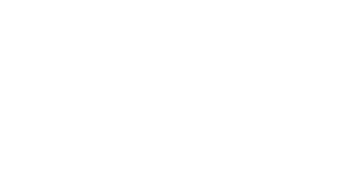 Lasso | Red Dead Redemption Wiki | Fandom