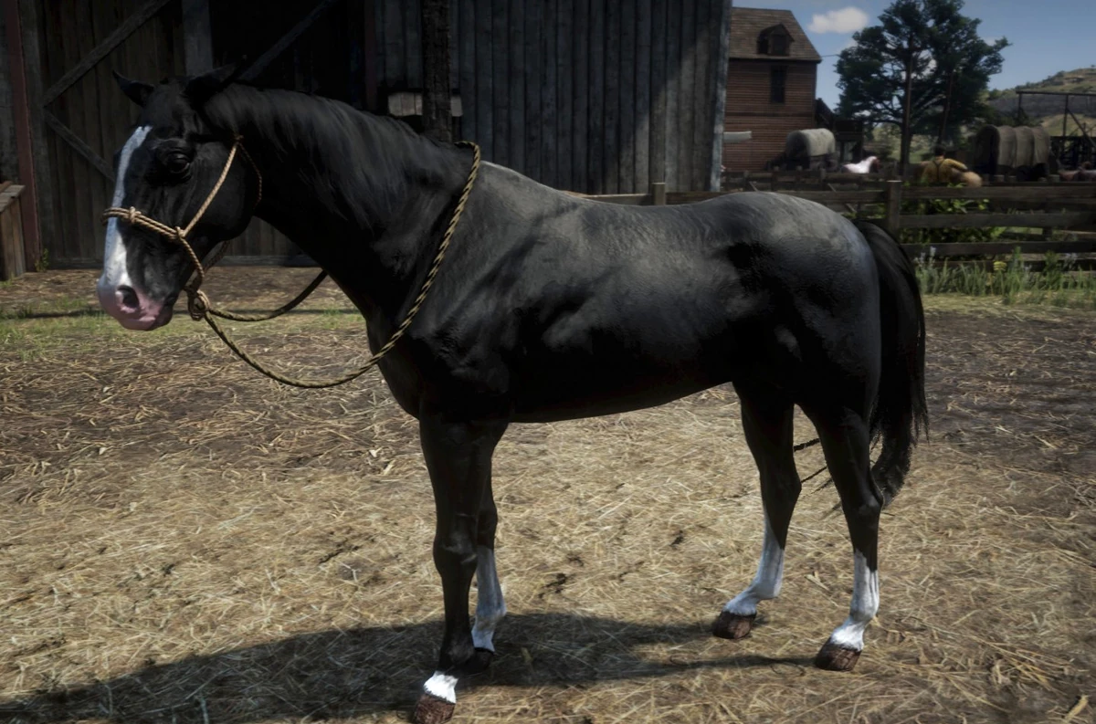 Kentucky Saddler (RDR 2) | Red Dead Wiki | Fandom