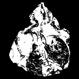 Skunk Meat | Red Dead Wiki | Fandom