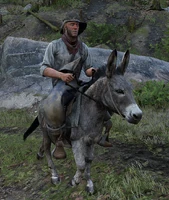 Donkey (RDR 2) | Red Dead Wiki | Fandom