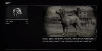 Dog (RDR2) | Red Dead Wiki | Fandom