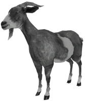 Goat | Red Dead Wiki | Fandom