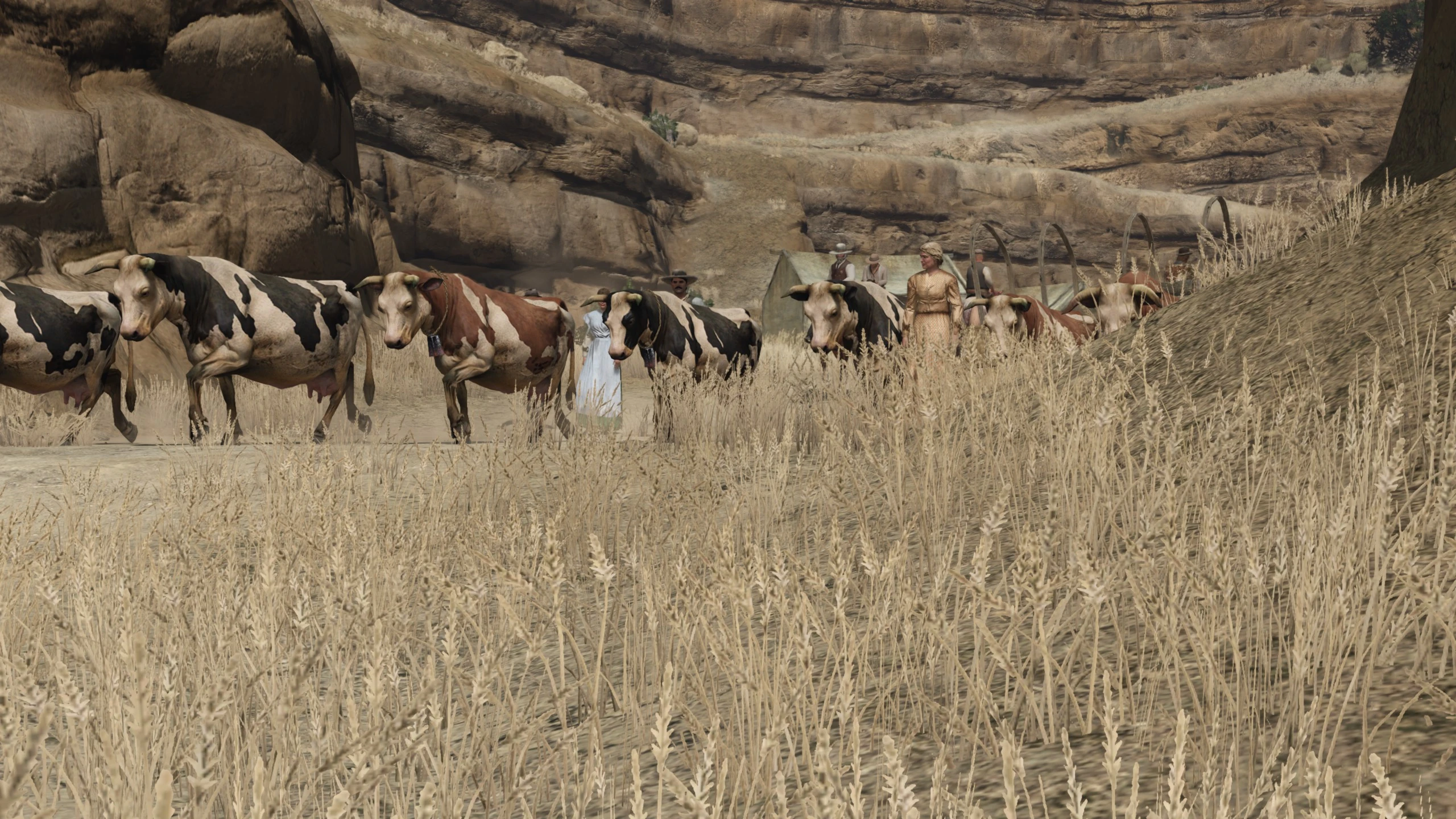 Cattle Herding | Red Dead Wiki | Fandom