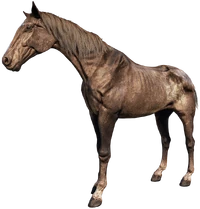 Scrawny Nag | Red Dead Wiki | Fandom
