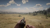 John's Cattleman Revolver | Red Dead Wiki | Fandom
