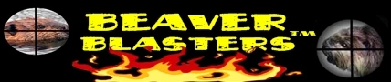 Posse:Beaver Blasters | Red Dead Wiki | Fandom