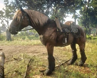 Bill Williamson | Red Dead Wiki | Fandom