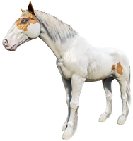 Mustang | Red Dead Wiki | Fandom