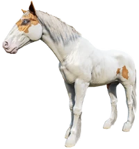 Mustang | Red Dead Wiki | Fandom