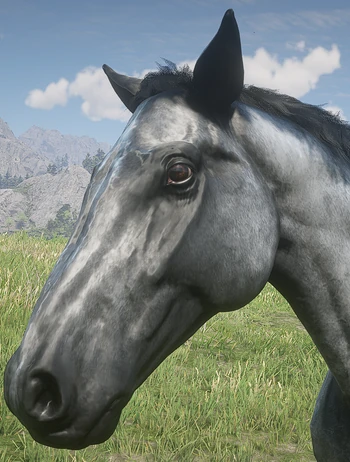 Silver Dollar | Red Dead Wiki | Fandom