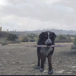 Discuss Everything About Red Dead Wiki | Fandom