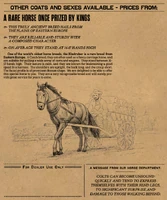 Kladruber | Red Dead Wiki | Fandom