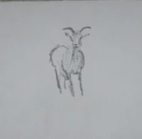 Goat (RDR 2) | Red Dead Wiki | Fandom