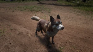 Perros | Red Dead Wiki | Fandom