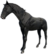 Turkoman | Red Dead Wiki | Fandom