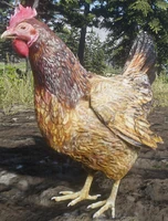 Chicken (RDR 2) | Red Dead Wiki | Fandom