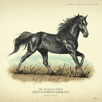Tennessee Walker | Red Dead Wiki | Fandom