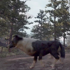 Dog | Red Dead Wiki | Fandom