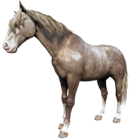 Mustang | Red Dead Wiki | Fandom