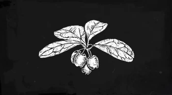 Wintergreen Berry | Red Dead Wiki | Fandom