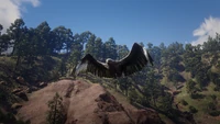Eagle (RDR 2) | Red Dead Wiki | Fandom