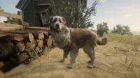Dog (RDR2) | Red Dead Wiki | Fandom
