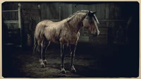 Criollo | Red Dead Wiki | Fandom
