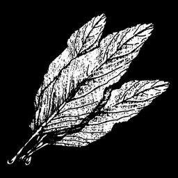 Desert Sage | Red Dead Wiki | Fandom