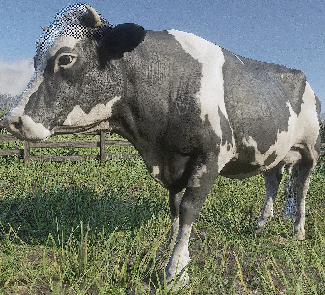 Cow (RDR 2) | Red Dead Wiki | Fandom