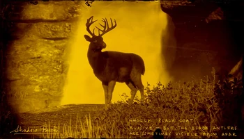 Legendary Shadow Buck | Red Dead Wiki | Fandom